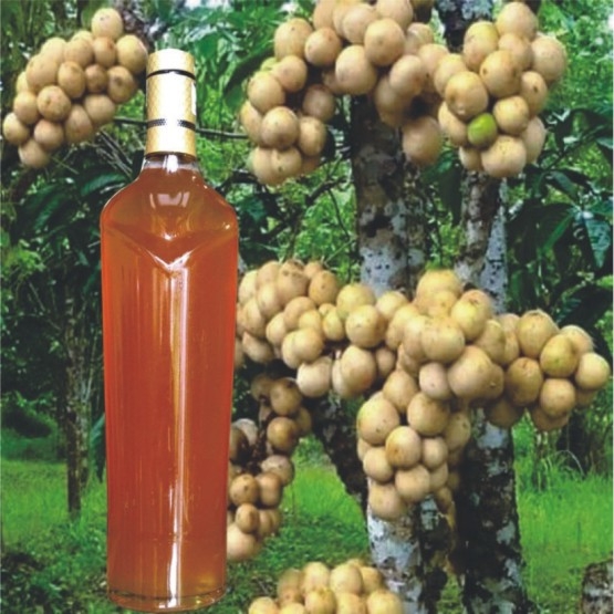 CÁCH NGÂM RƯỢU QUẢ BÒN BON CHUẨN NGON VÀ ĐÚNG ĐIỆU